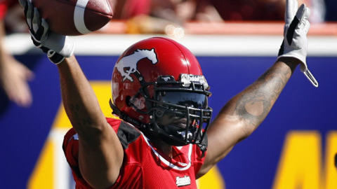 Rambo ne bouge pas | Radio-Canada