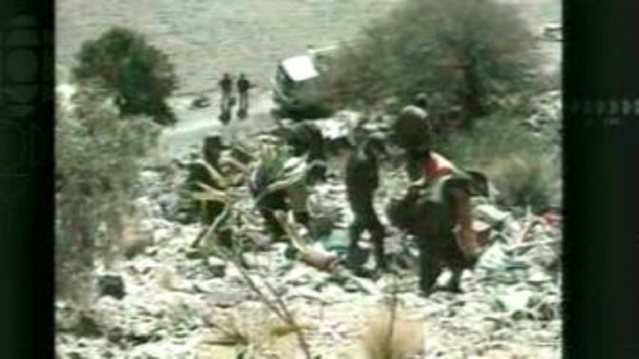 Hécatombe sur la route | Radio-Canada