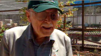 Pour un art engagé | Radio-Canada