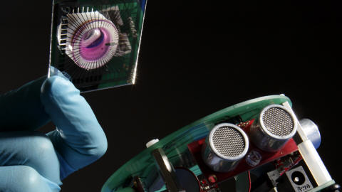 Un robot au cerveau de rat | Radio-Canada
