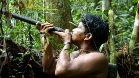 L'Amazonie urbanisée avant Colomb | Radio-Canada