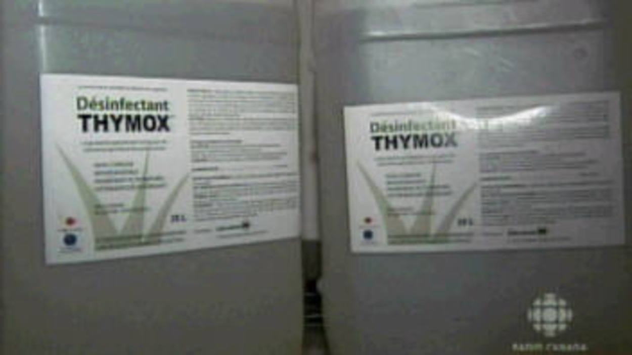 Laboratoire M2 a le vent dans les voiles | Radio-Canada