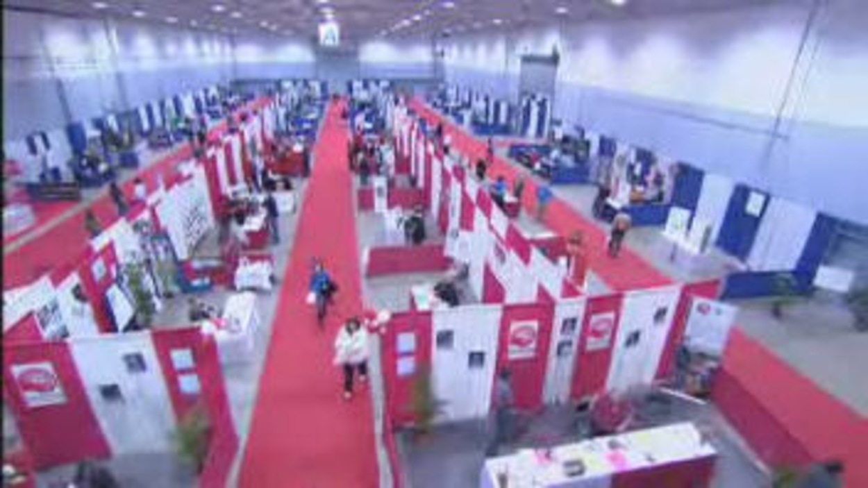 Les indispensables OSBL | Radio-Canada