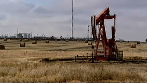 L'Alberta délie les cordons de la bourse | Radio-Canada