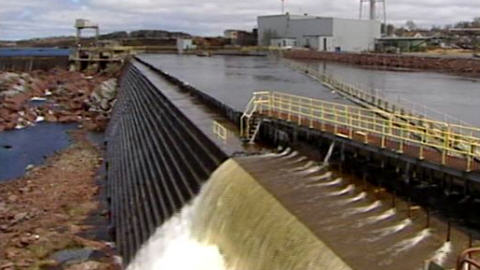 AbitibiBowater contre-attaque | Radio-Canada