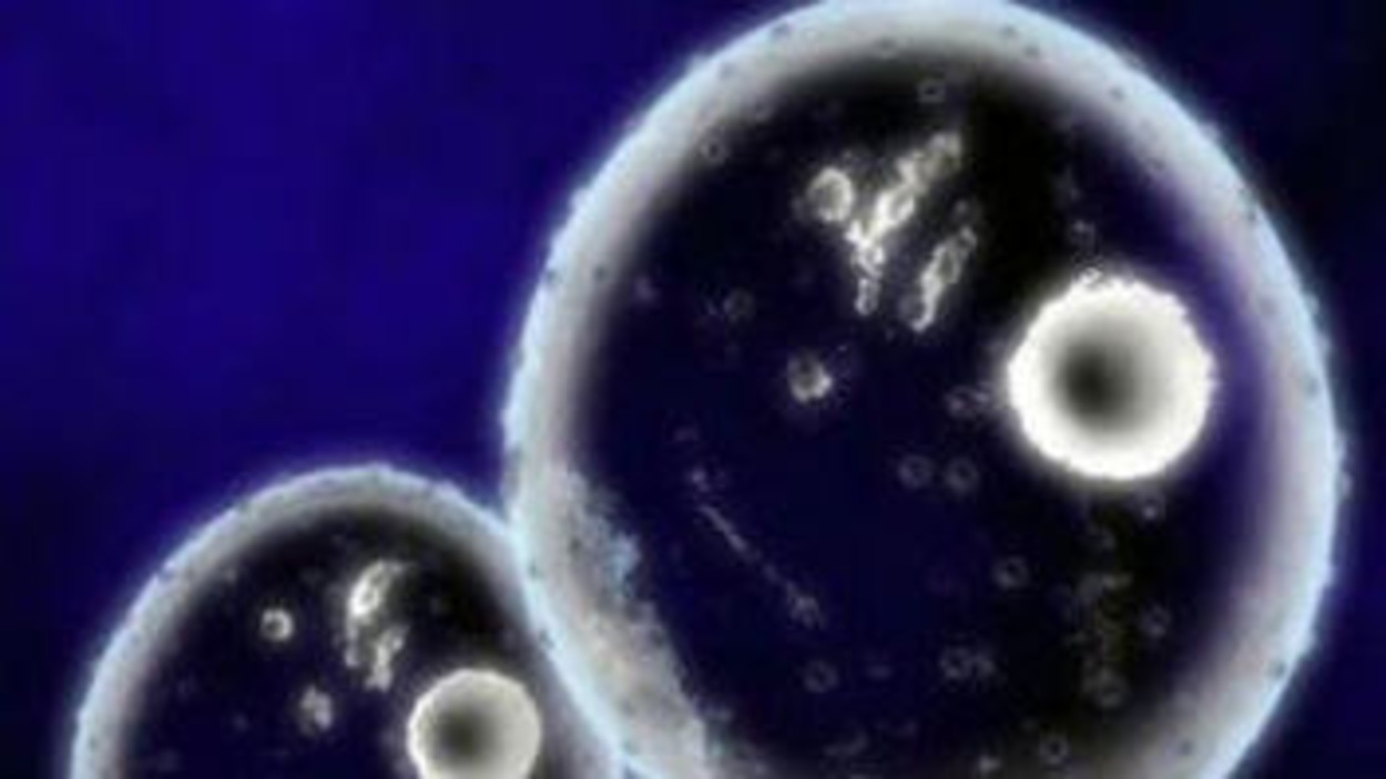 « Je m'appelle LUCA » | Radio-Canada.ca