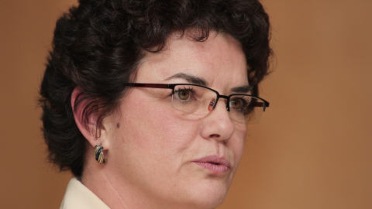 Deb Higgins se lance dans la course | Radio-Canada
