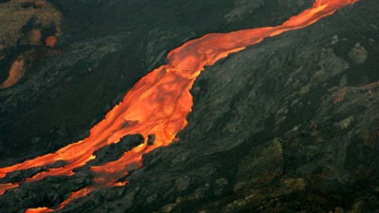 Une extinction massive inconnue à ce jour | Radio-Canada