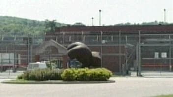 Le problème de surpopulation surveillé de près | Radio-Canada