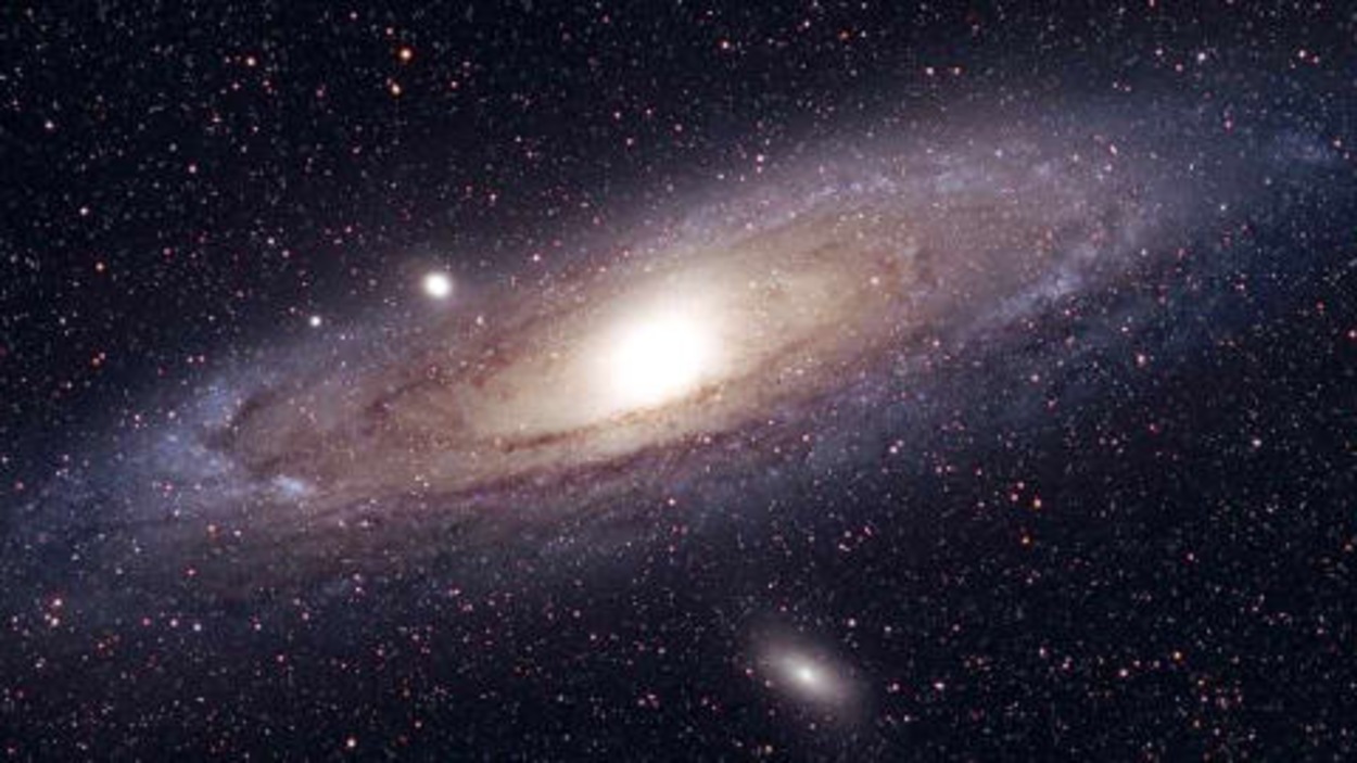 Andromède la cannibale | Radio-Canada