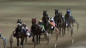 Le retour des courses de chevaux | Radio-Canada
