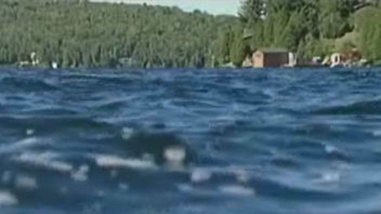 Claude Pinard appuie le gouvernement Charest | Radio-Canada