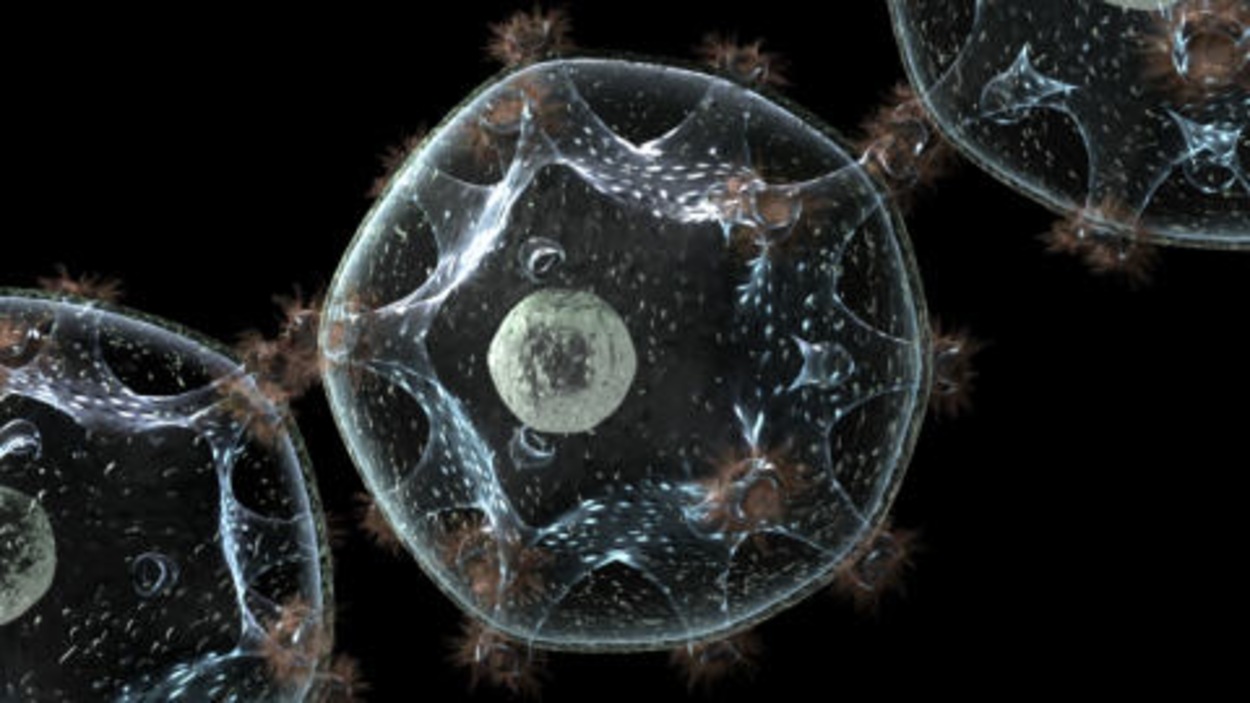 VIH/sida : L'infection bientôt maîtrisée? | Radio-Canada