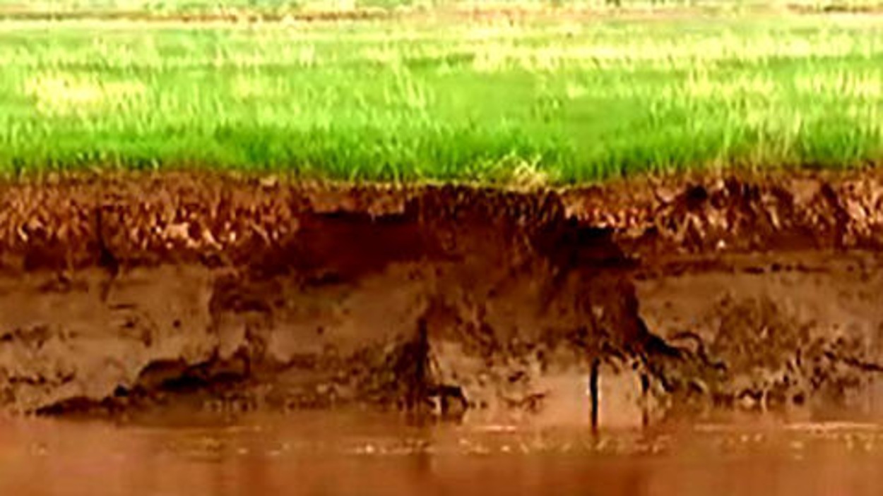 La Petitcodiac se transforme | Radio-Canada