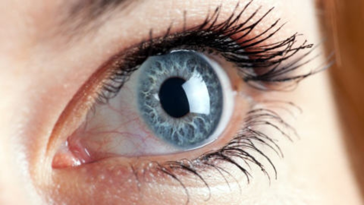 De nouveaux gènes identifiés | Radio-Canada