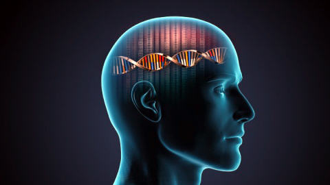 Il y a 10 ans, le génome humain | Radio-Canada