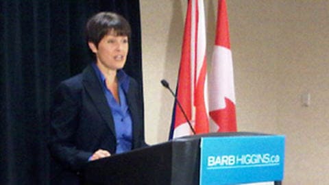 L'ex-journaliste Barb Higgins dans la course | Radio-Canada