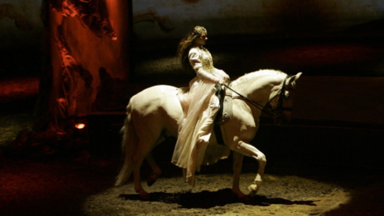 Cavalia 2 à Laval en été | Radio-Canada