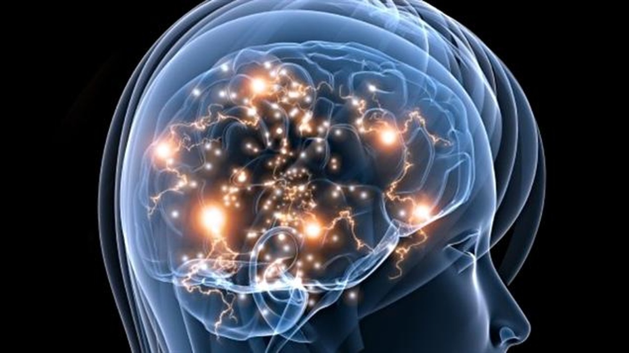 Les particularités du cerveau autiste | Radio-Canada