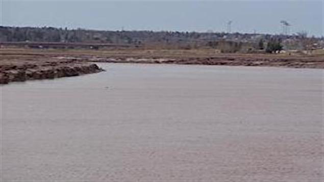 La rivière Petitcodiac reprend lentement son cours | Radio-Canada