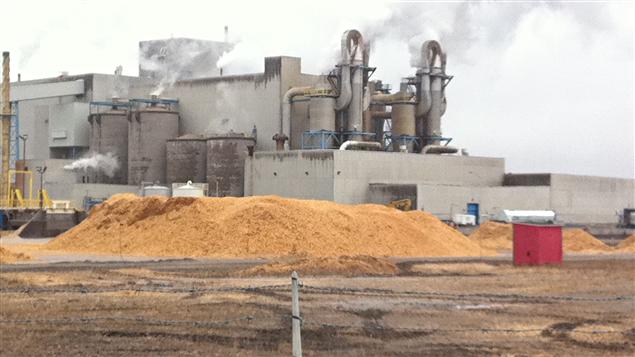 Gaspésie-Les Îles : Tembec modernise son usine de Matane | Radio-Canada