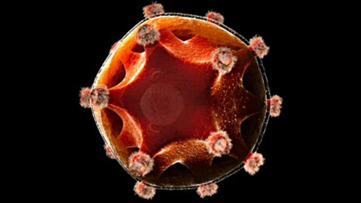 Détourner le virus du sida pour lutter contre le cancer | Radio-Canada