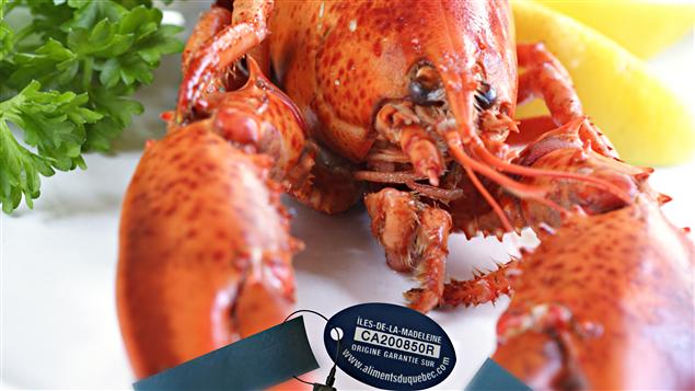 Gaspésie-Les Îles : pour une meilleure promotion du homard madelinot ...