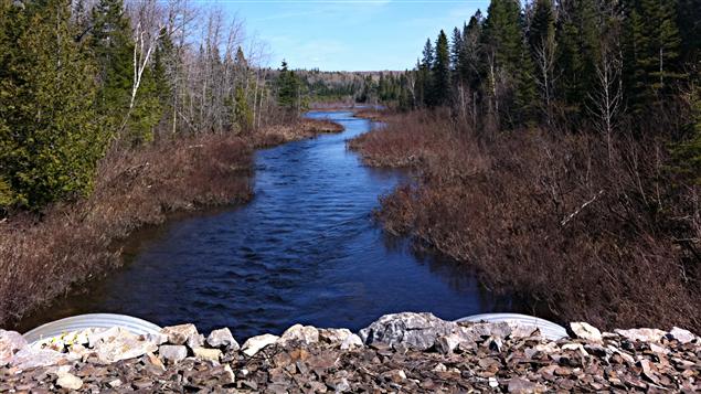 État stable des rivières dans l'Est | Radio-Canada