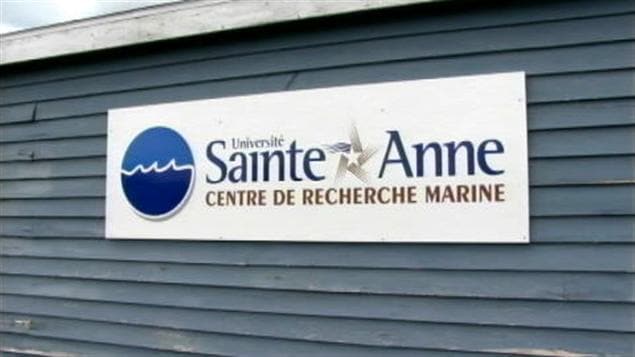 L'Université Sainte-Anne a un nouveau recteur | Radio-Canada