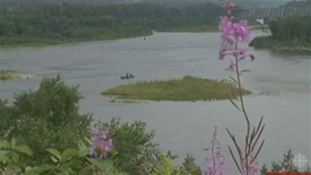 Gaspésie-Les Îles : la rivière Restigouche est mise à mal | Radio-Canada