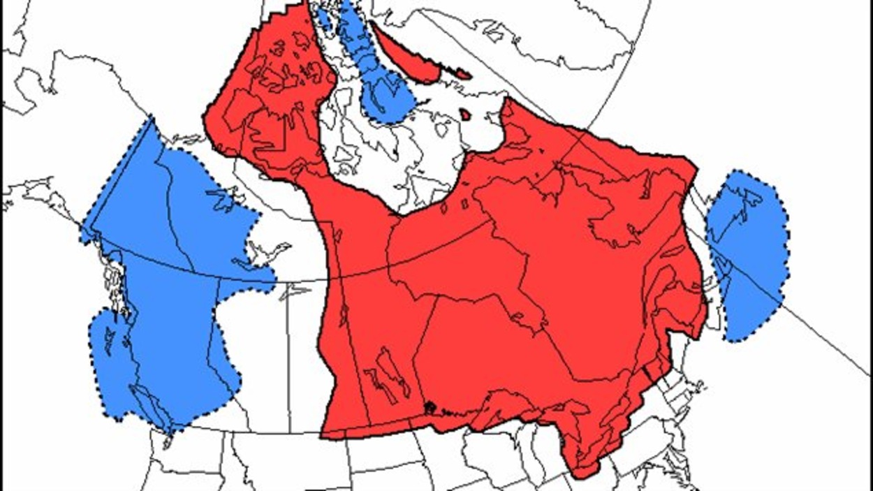 Les prévisions météo d'Environnement Canada pour l'automne | Radio-Canada
