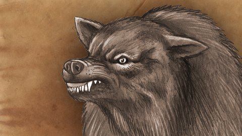 Les loups-garousstatique | Créatures fantastiques | Radio-Canada.ca