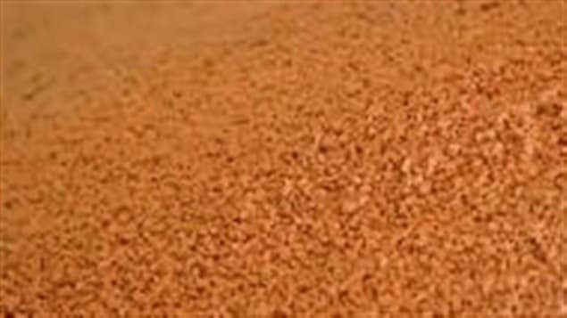 Investissement de 3,25 milliards $ pour une mine de potasse en ...