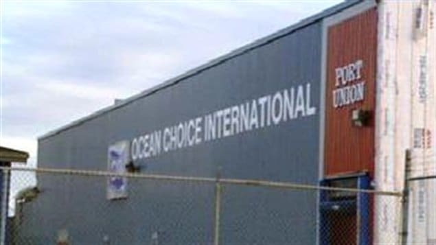 Le ton monte dans les pêches à Terre-Neuve-et-Labrador | Radio-Canada