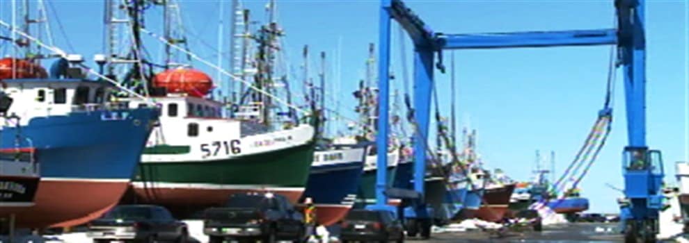 Déception et optimisme pour le centre-ville de Shippagan | Radio-Canada