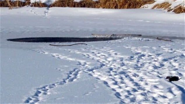 Deux enfants tombent dans un trou sur la glace à Hyas | Radio-Canada
