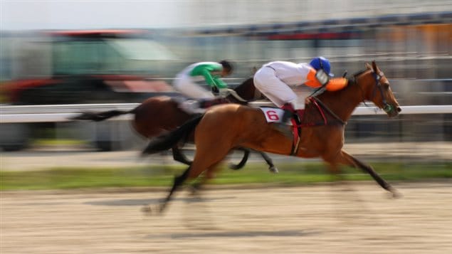 Les courses de chevaux de Québec déménagent à Trois-Rivières | Radio-Canada