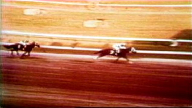 La vie de Ron Turcotte sera présentée au grand écran | Radio-Canada