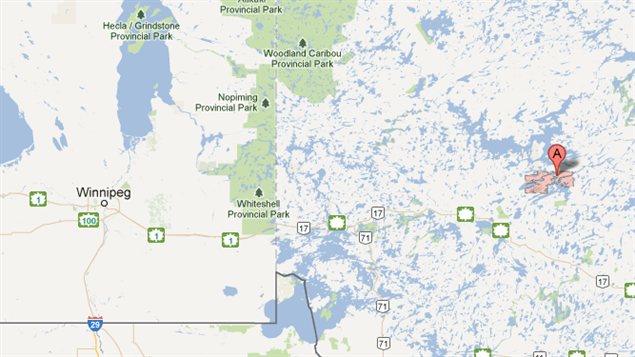 Deux Winnipégois attaqués par un ours en Ontario : les autorités ...
