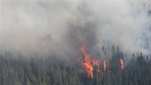 Interdiction de faire des feux au Nouveau-Brunswick | Radio-Canada