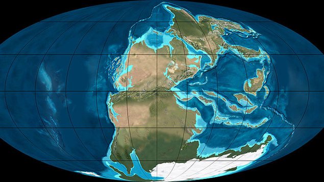 Des millions d'années pour se remettre de la grande extinction | Radio ...