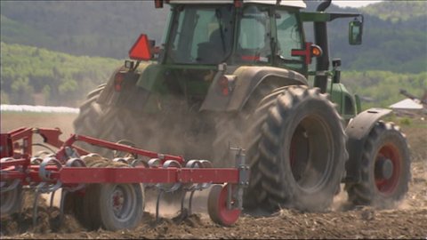 Agrinova lance un service d'innovation pour les entreprises laitières ...