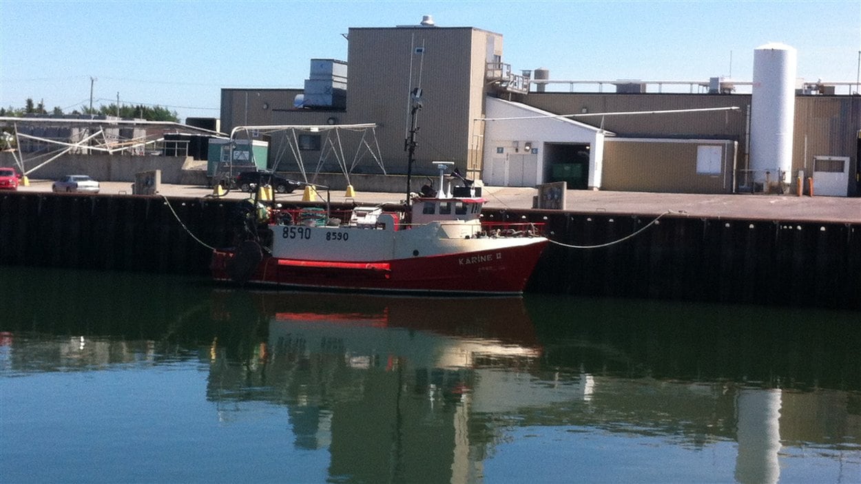 La révolution tranquille du monde des pêches | Radio-Canada