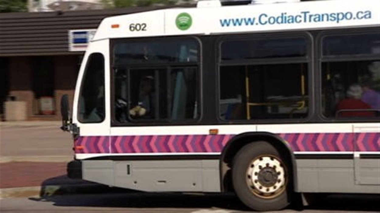 Des coupons de taxi pour les usagers de Codiac Transpo | Radio-Canada
