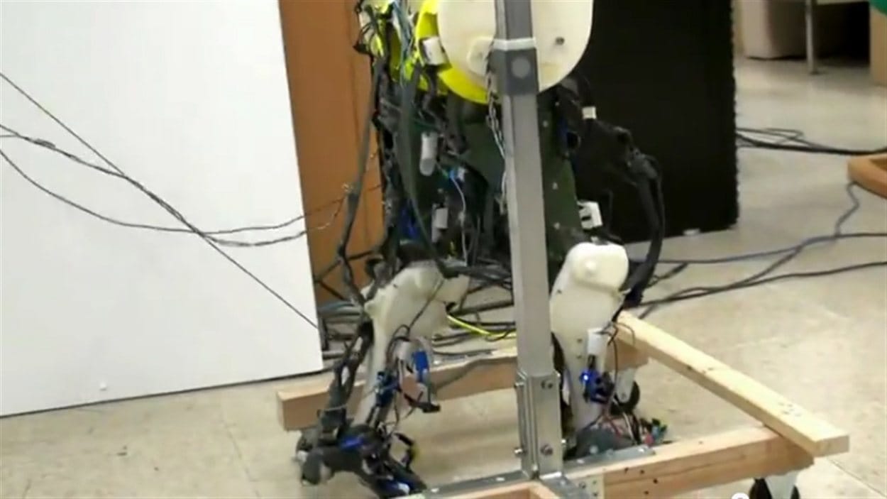 Les jambes biomécaniques les plus performantes | Radio-Canada