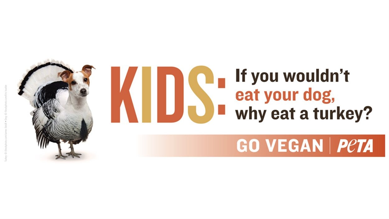 PETA lancera une campagne devant les écoles pour l'Action de Grâces ...