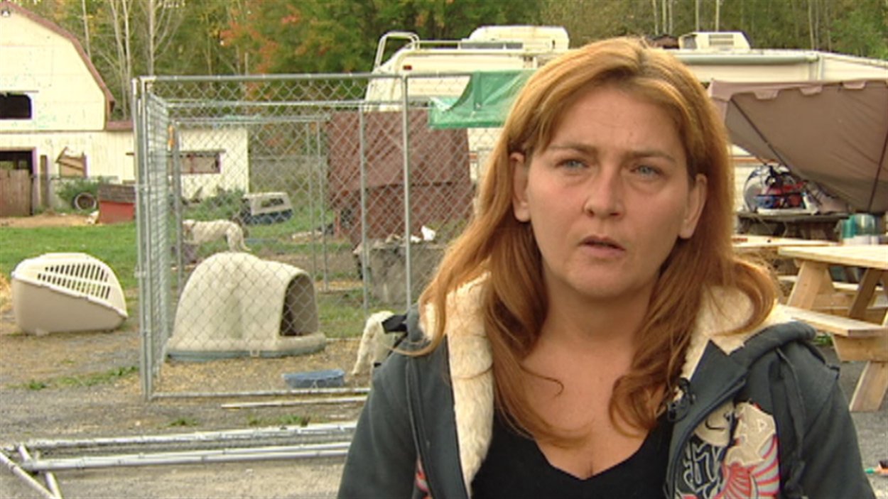 La propriétaire d'un refuge pour animaux de Navan fait face à des ...