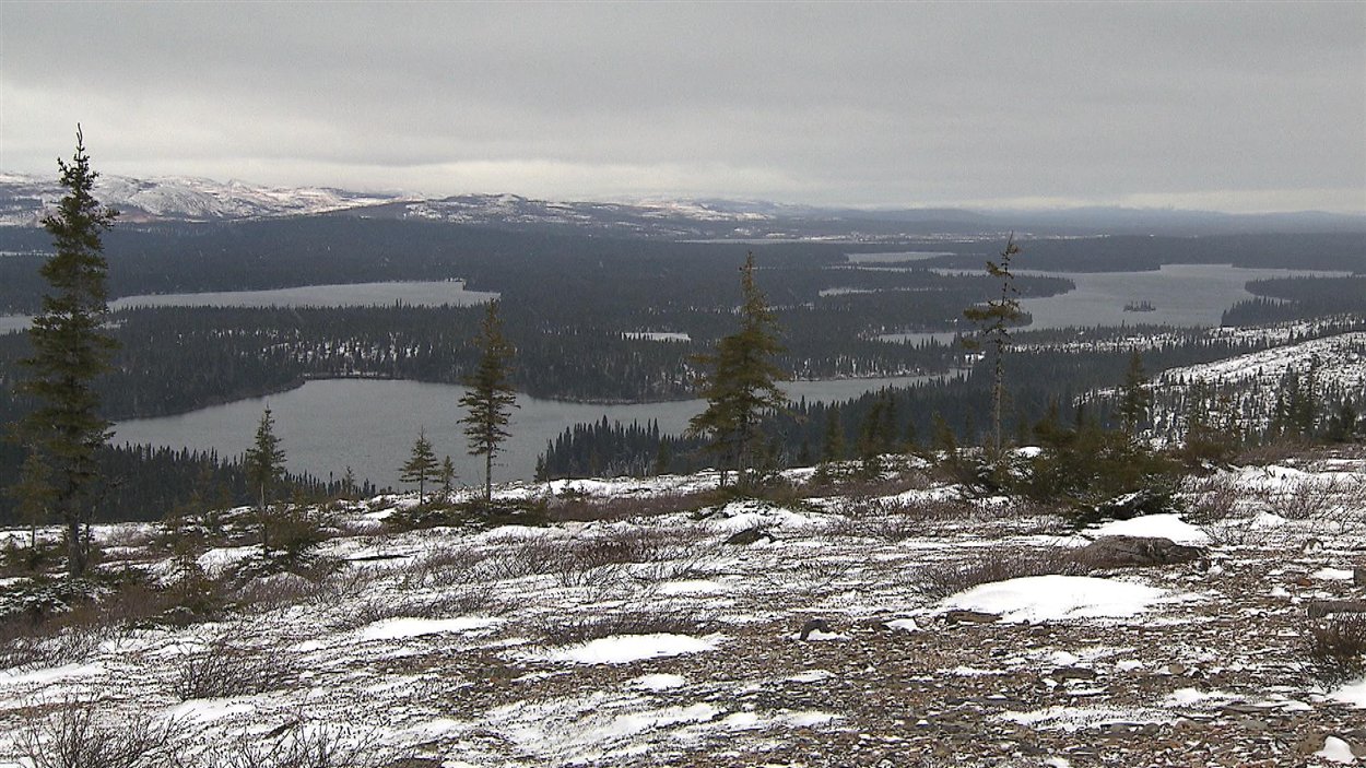 Côte-Nord : découverte de vestiges archéologiques au nord de ...