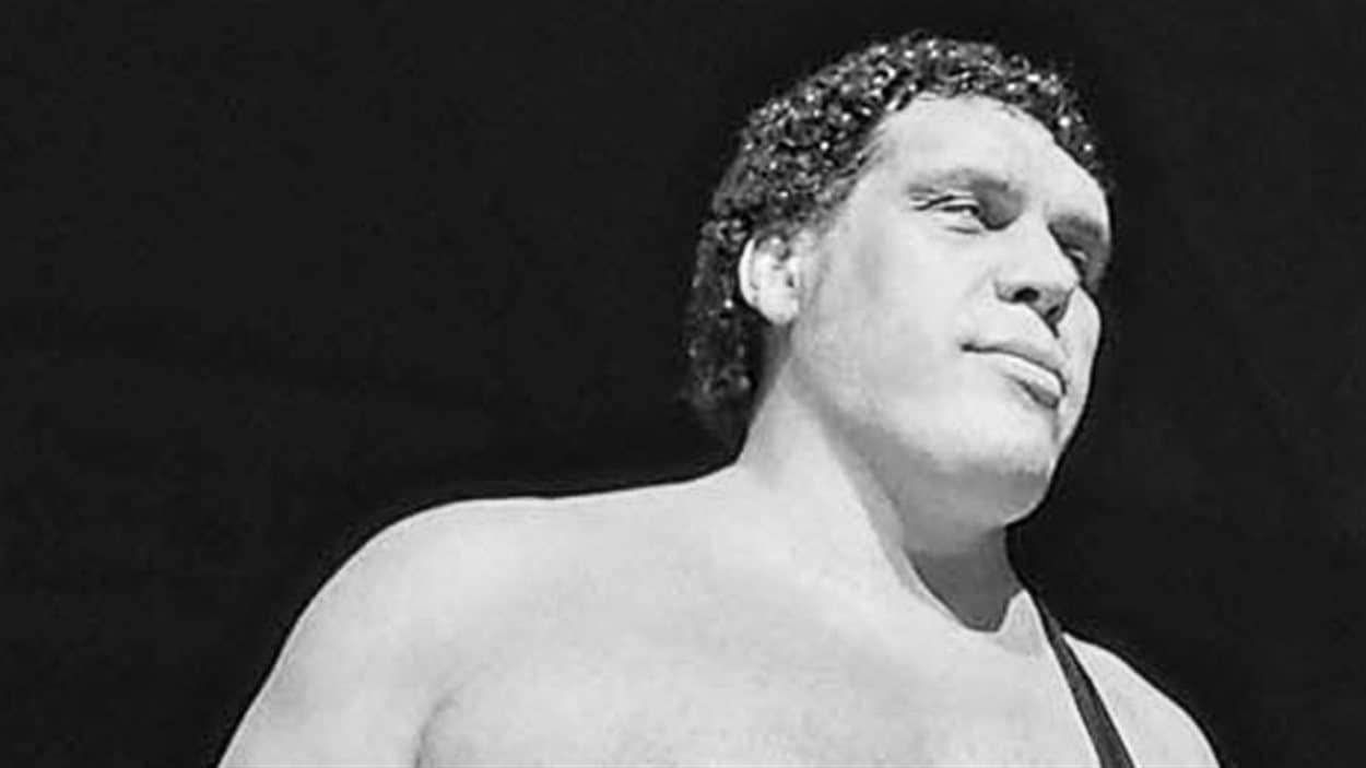 Jake The Snake Roberts livre les secrets de la lutte professionnelle ...