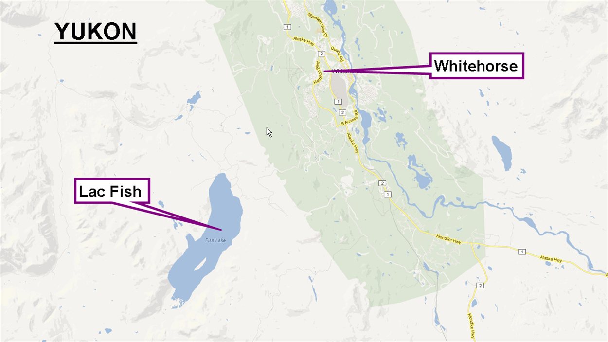 Whitehorse : une piste de ski de fond trop large mène à des accusations ...